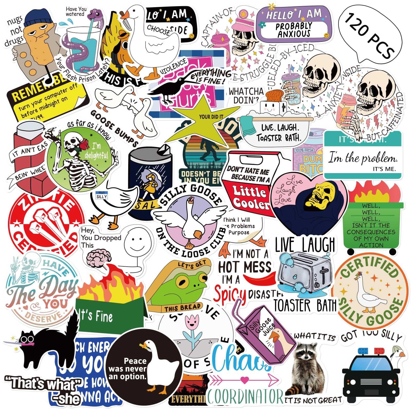 Snapklik.com : OCQOTAT 120pcs Funny Stickers For Adults,Meme Sticker ...