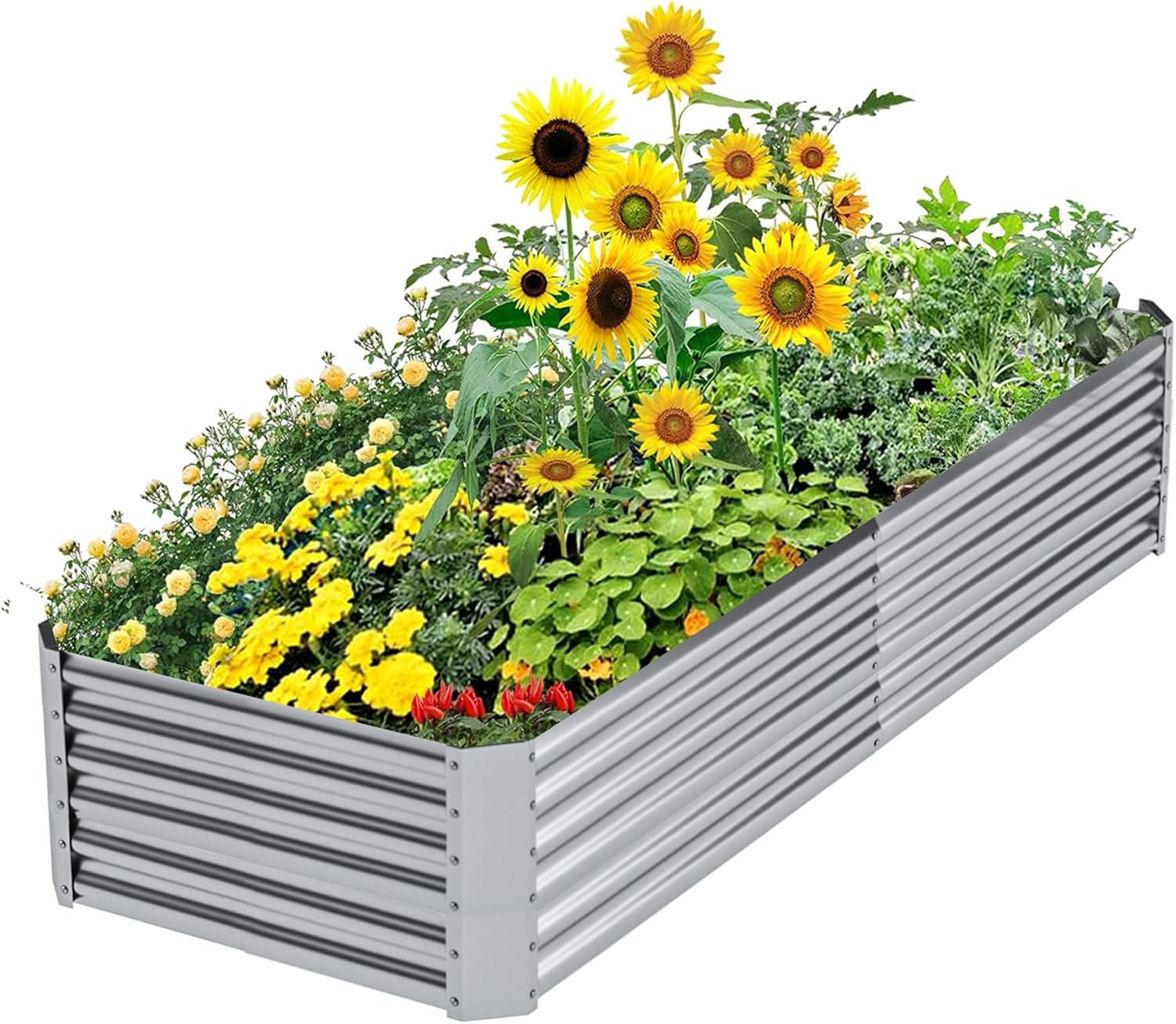 Amazon.com: JTPTU Galvanized Raised Garden Bed,Planter Boxes Outdoor ...