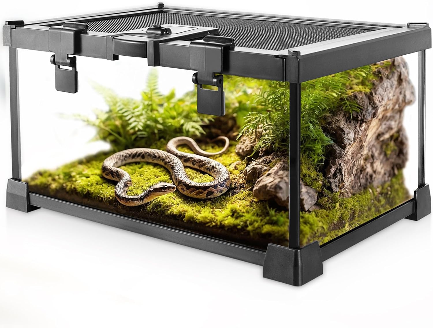 NEPTONION Mini Reptile Glass Terrarium Vivarium 12'' x 8'' x 6'' Full ...