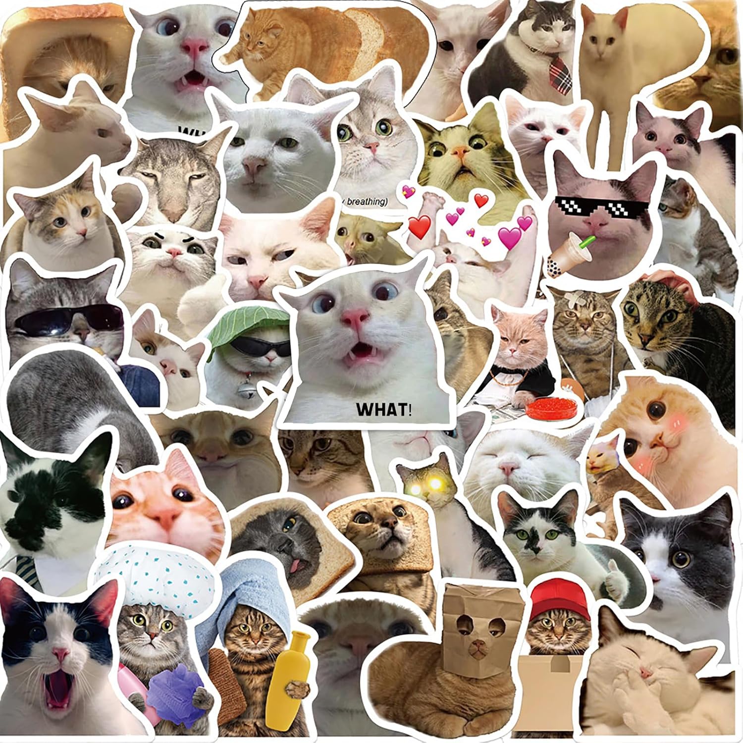 Katzen Sticker,50 Stück Lustiges Aufkleber Set Cat,Katzen Meme Sticker ...