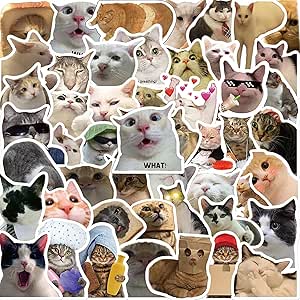 Katzen Sticker,50 Stück Lustiges Aufkleber Set Cat,Katzen Meme Sticker ...