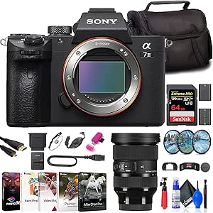 Amazon.com: Sony a7 III Mirrorless Camera (ILCE7M3/B) + Sigma 24-70mm f/2.8 Lens (578965) + 64GB ...