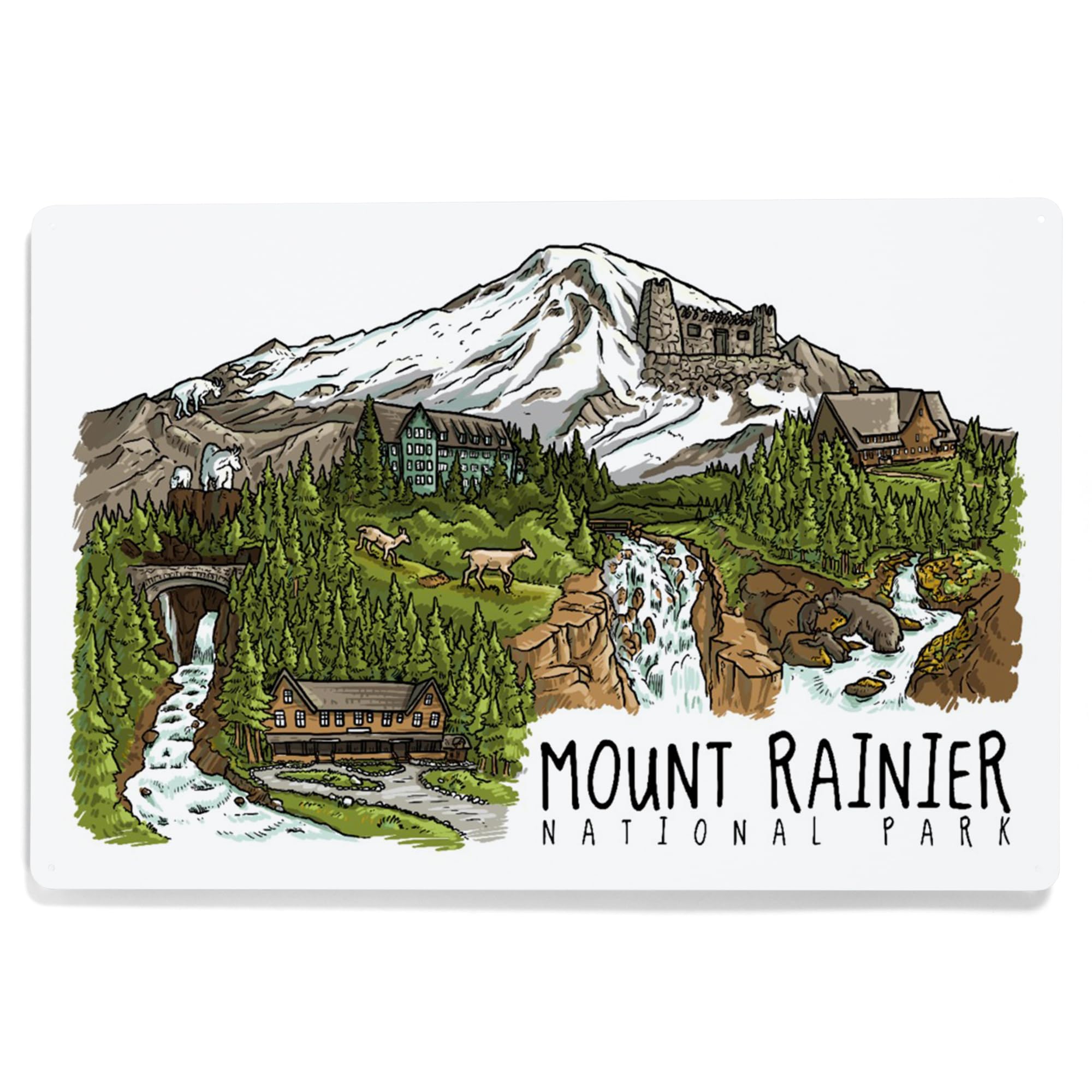 Mount Rainier Drawing