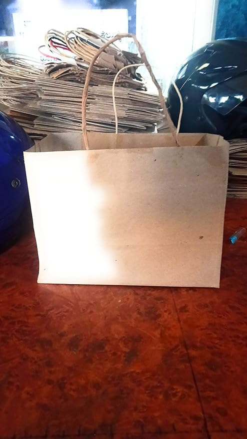 PAPER BAGS Small Size (Pack of 25 Small Size Bags) : Amazon.in: Home ...