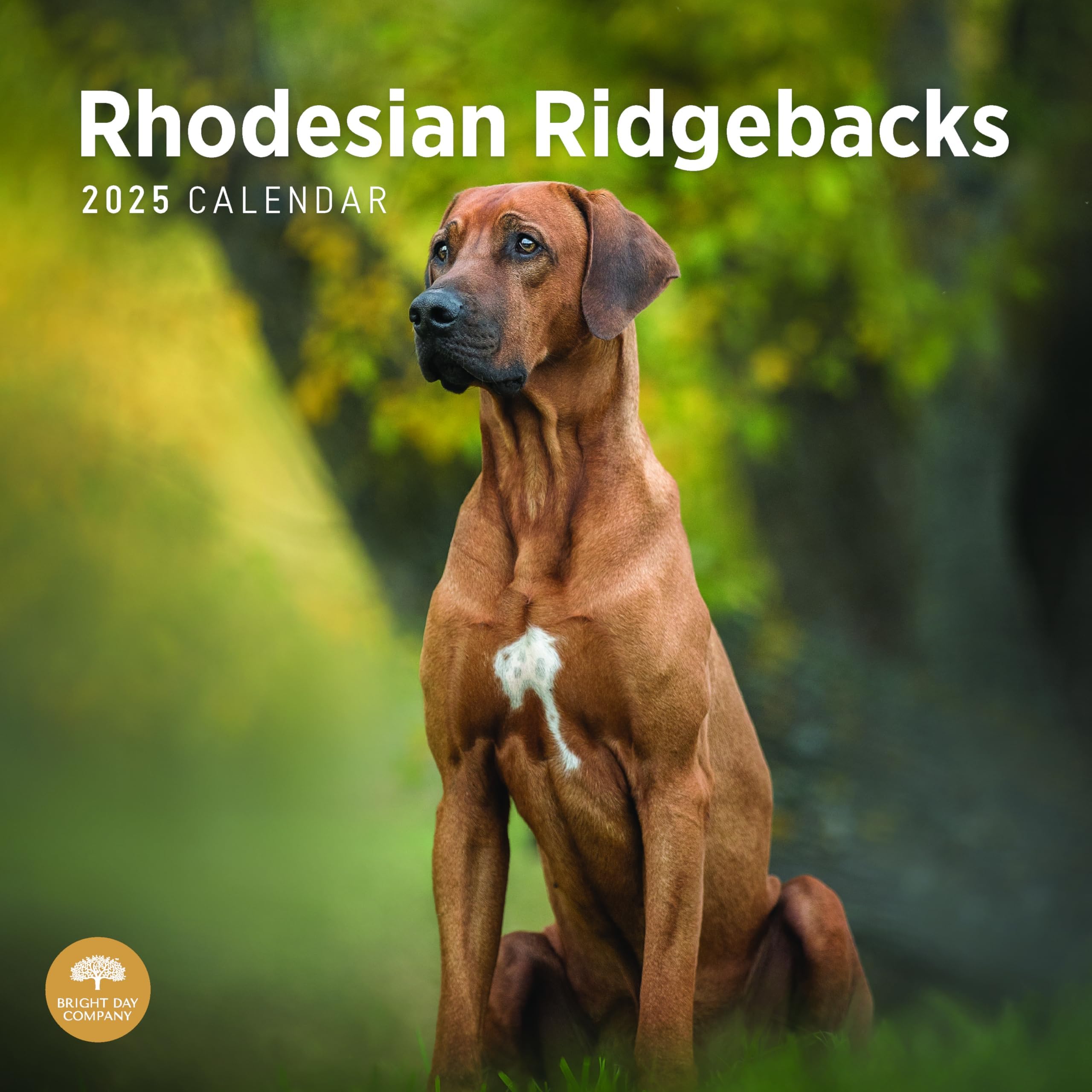 Amazon.com: Red Robin 2025 Rhodesian Ridgeback Monthly Wall Calendar ...