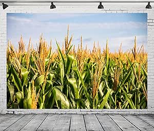 Amazon.com : CORFOTO 7x5ft Fabric Green Cornfield Backdrop for ...