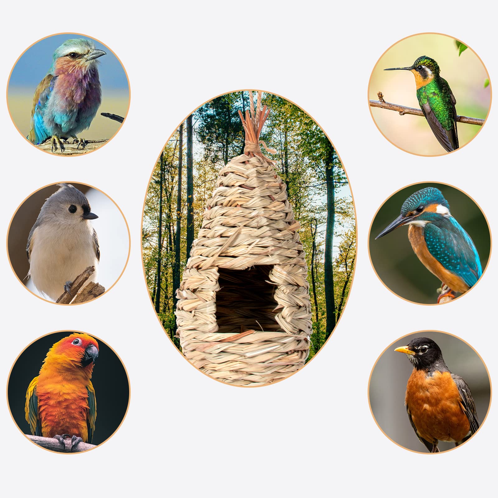 Snapklik.com : Humming Bird Houses For Outside Hanging, Natural Grass ...