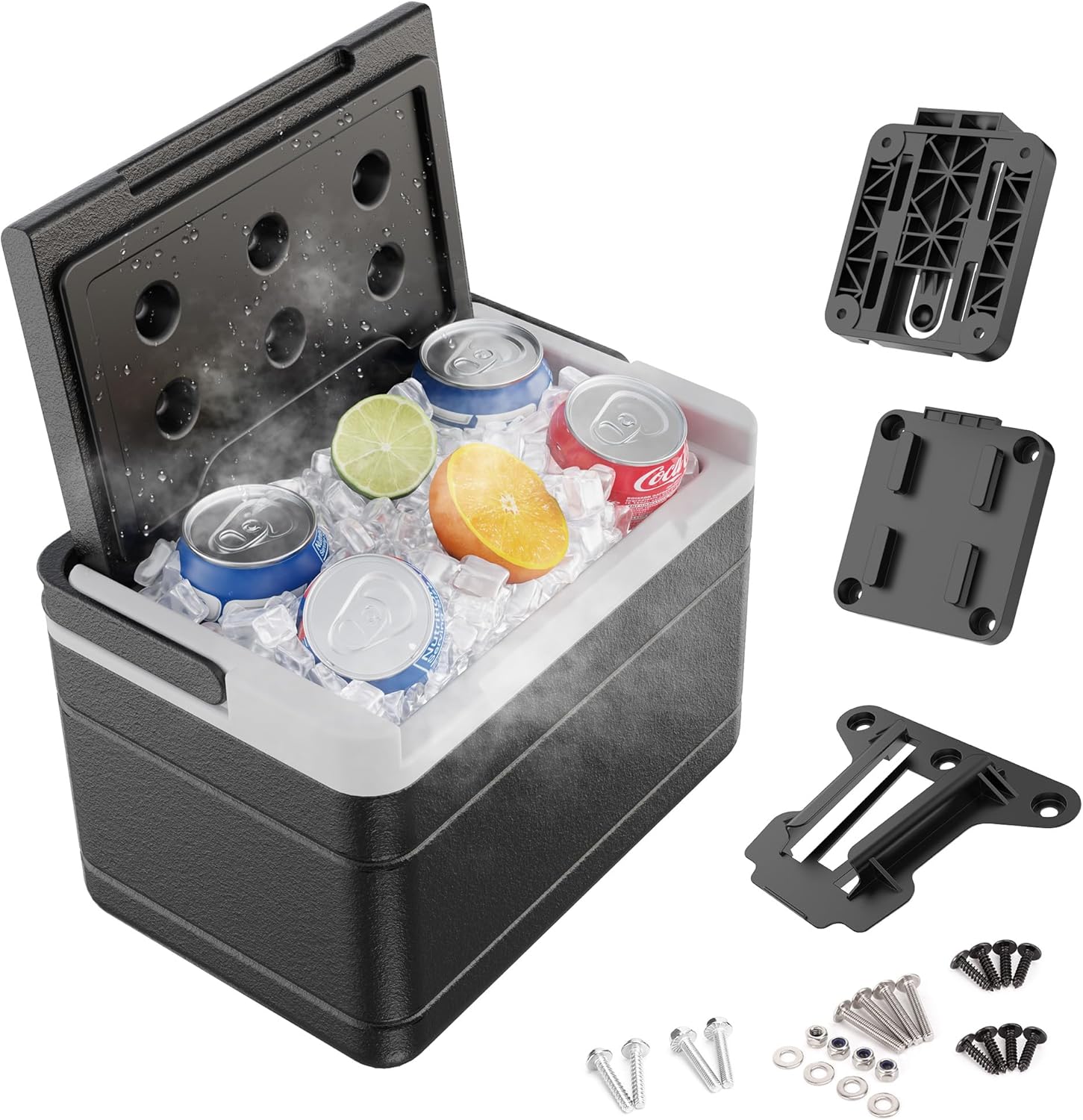 Amazon.com : 10L0L Universal Golf Cart Ice Cooler with Mounting Bracket ...