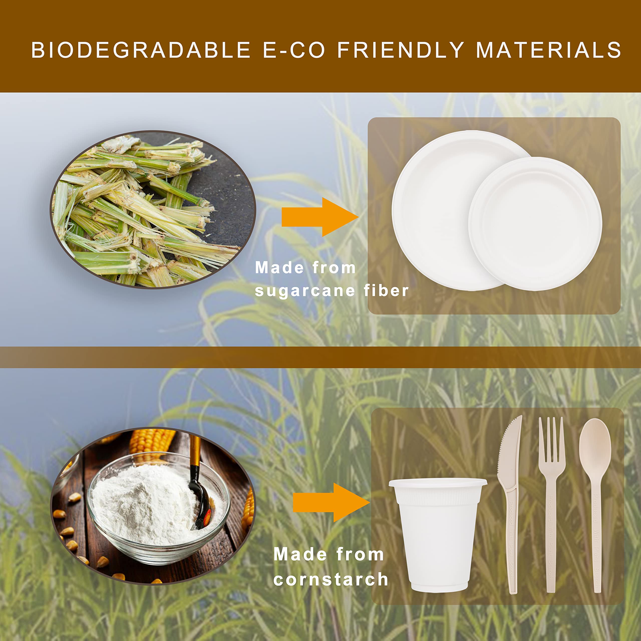 Snapklik.com : Compostable Paper Plates 150-Pack, Eco-Friendly ...