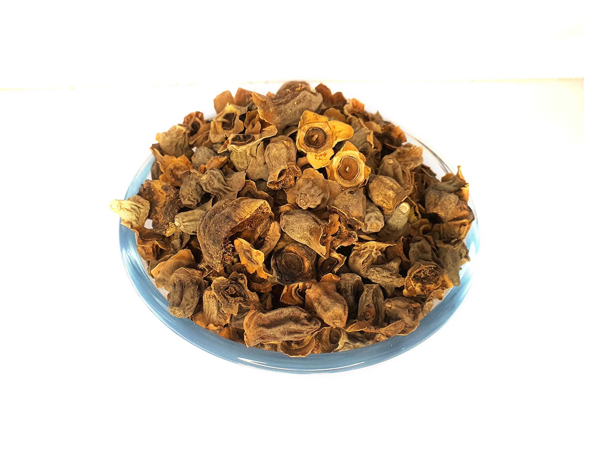 Masso Pansari Bay Khumba Careya Arborea Vakumbha Kumbhi Baikhumba 200 ...