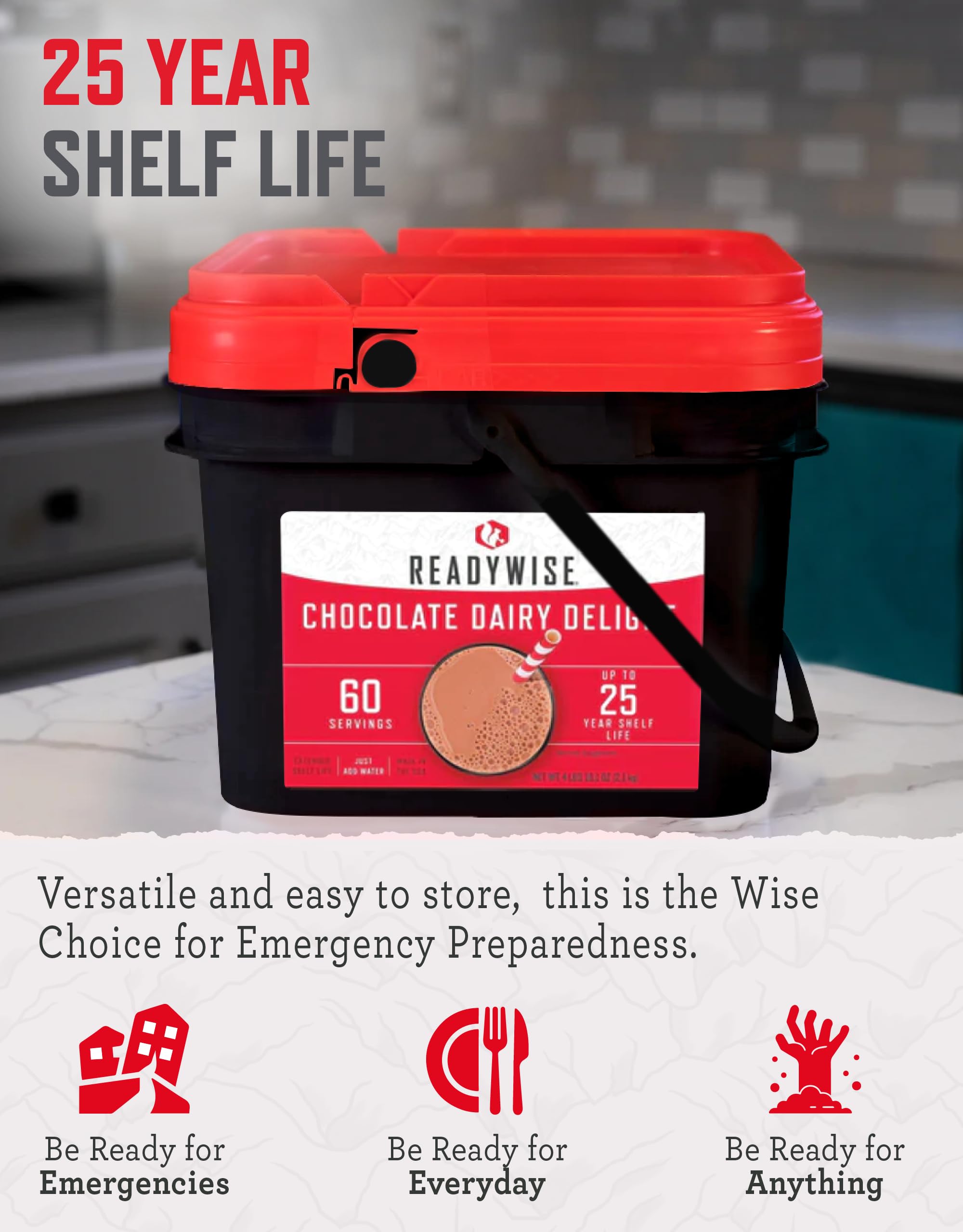 Snapklik.com : Wise Company 60 Serving Chocolate Milk Bucket