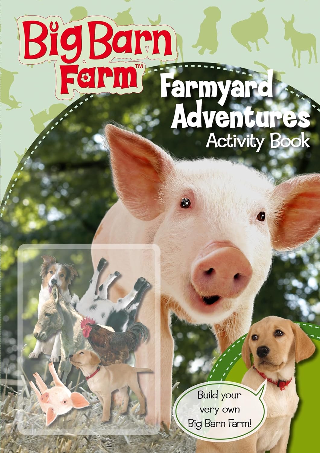 Farmyard Adventures Activity Book: Ladybird Books: 9781409300731 ...