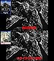 Amazon.com: Rashomon (The Criterion Collection) [Blu-ray] : Toshiro ...