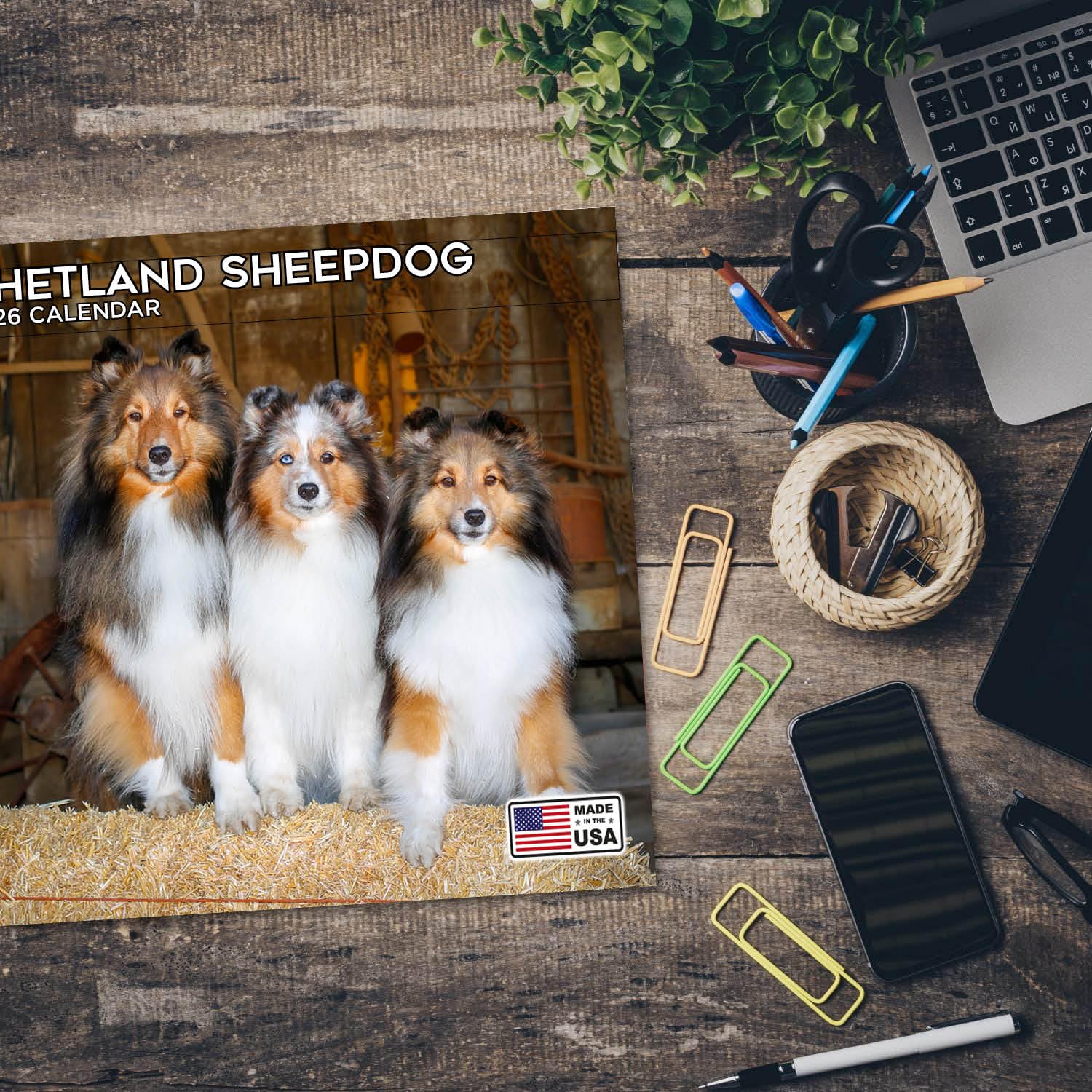 Snapklik.com : 2026 Shetland Sheepdog Calendar - Dog Breed Wall ...