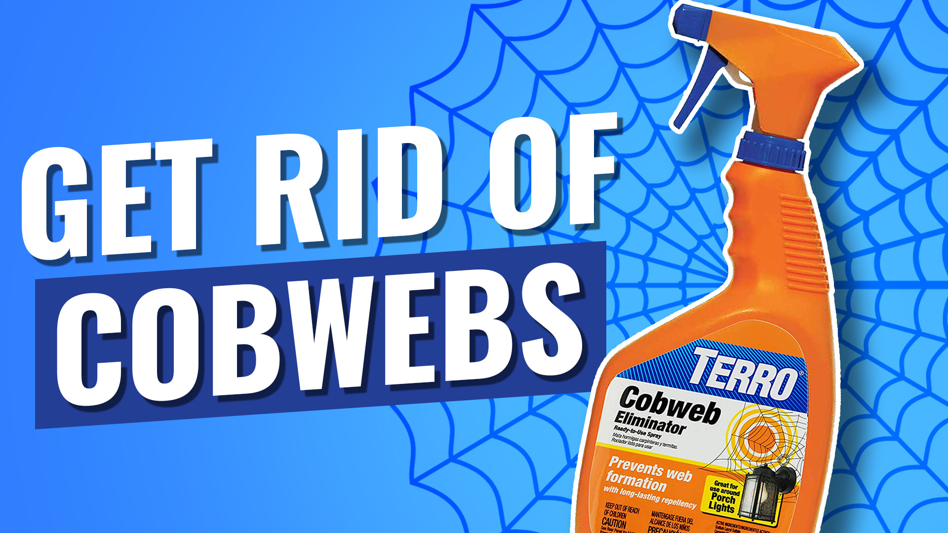 Watch REVIEW& Terro Spider Cobweb Eliminator and Repellent Spray on ...