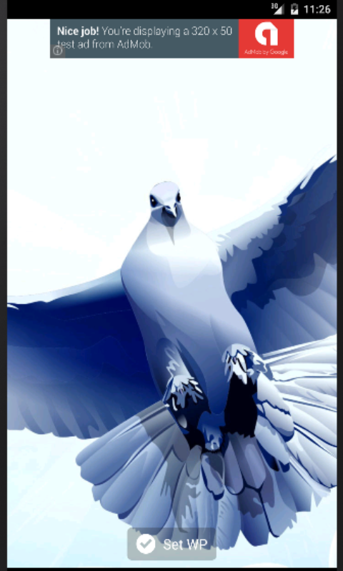 Cute Dove Wallpapers - App on Amazon Appstore
