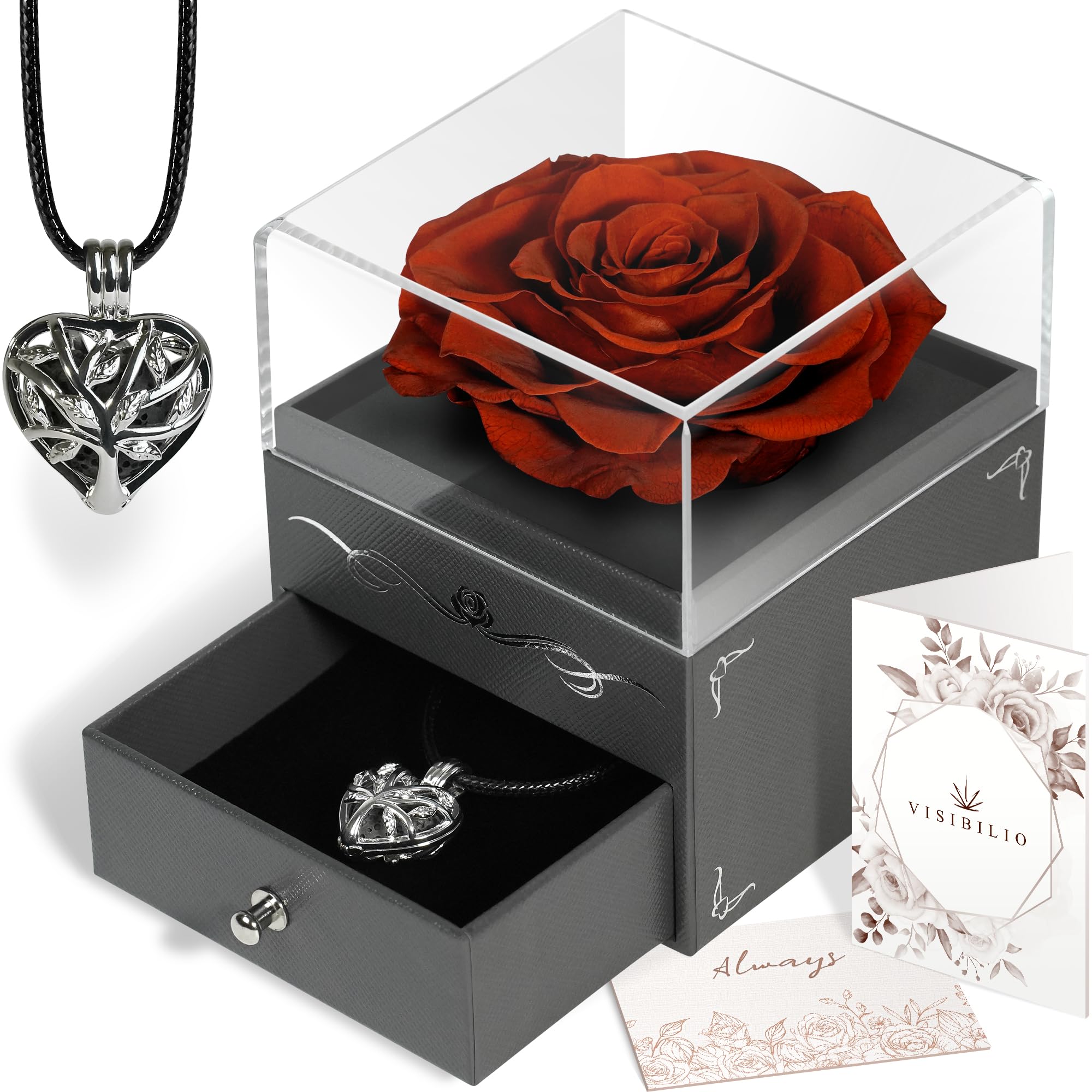 Amazon.com: VISIBILIO Preserved Rose with Necklace, Forever Real Rose ...