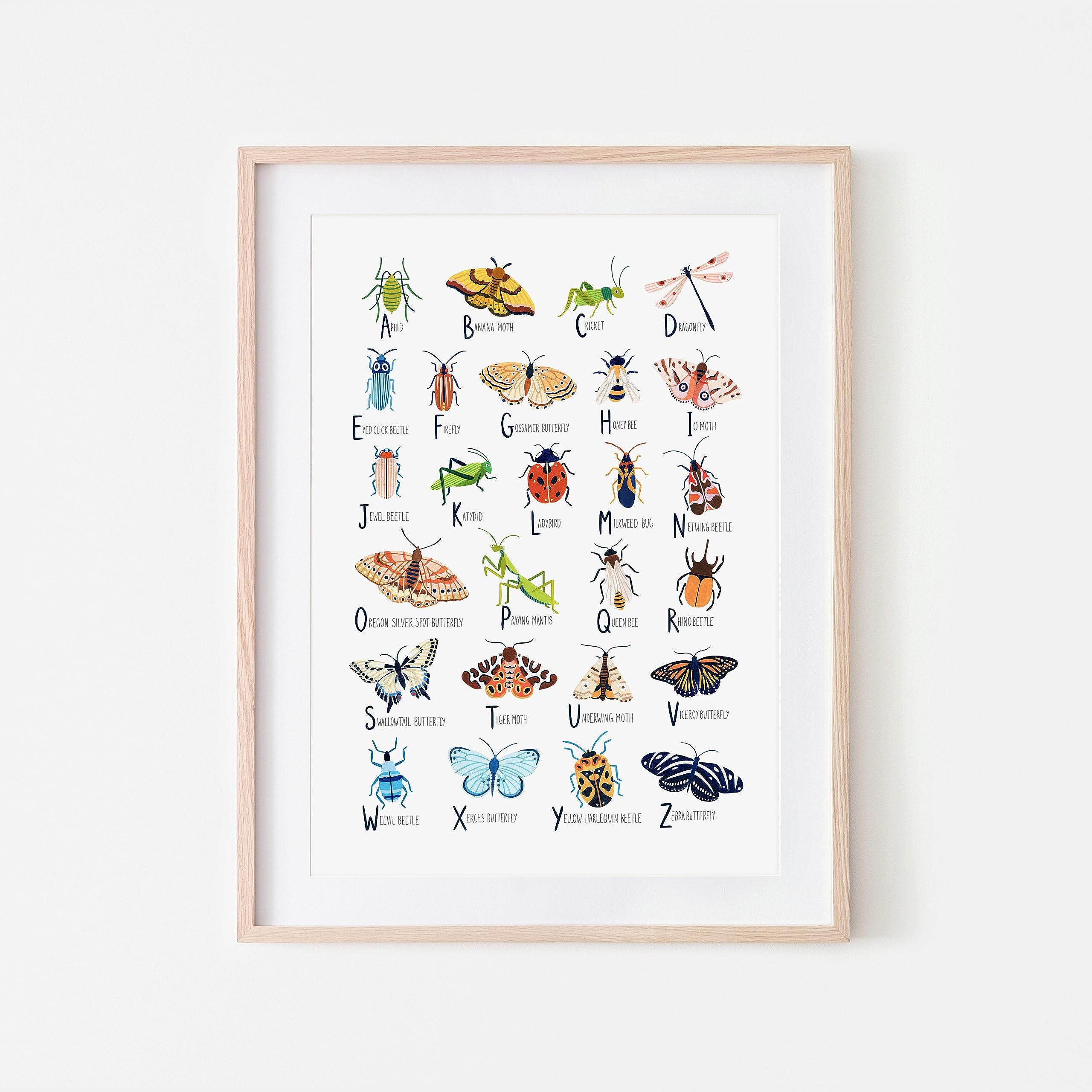 Amazon.com: Insect Alphabet Print, Nursery Wall Art, Bugs Print ...