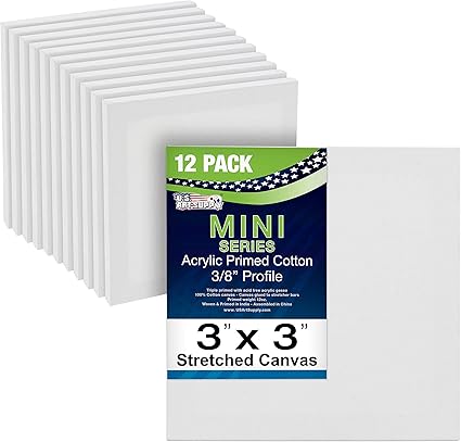 Amazon.com: U.S. Art Supply 3x3 Mini Canvases for Painting, 12 Pack ...