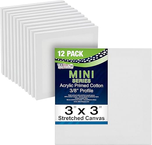 Amazon.com: U.S. Art Supply 3x3 Mini Canvases for Painting, 12 Pack ...