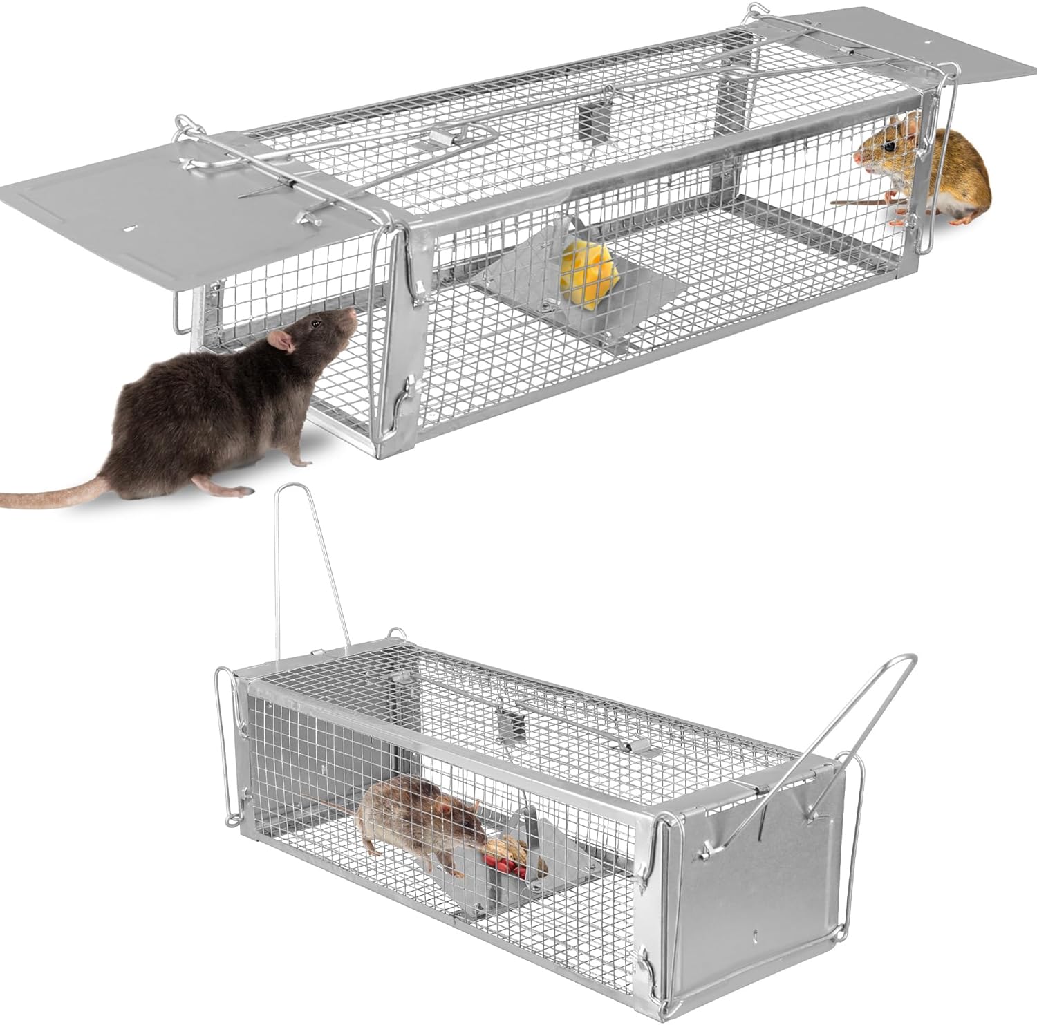Amazon.com : Moclever Humane Rat Trap Cage Dual Door Live Rat Traps ...