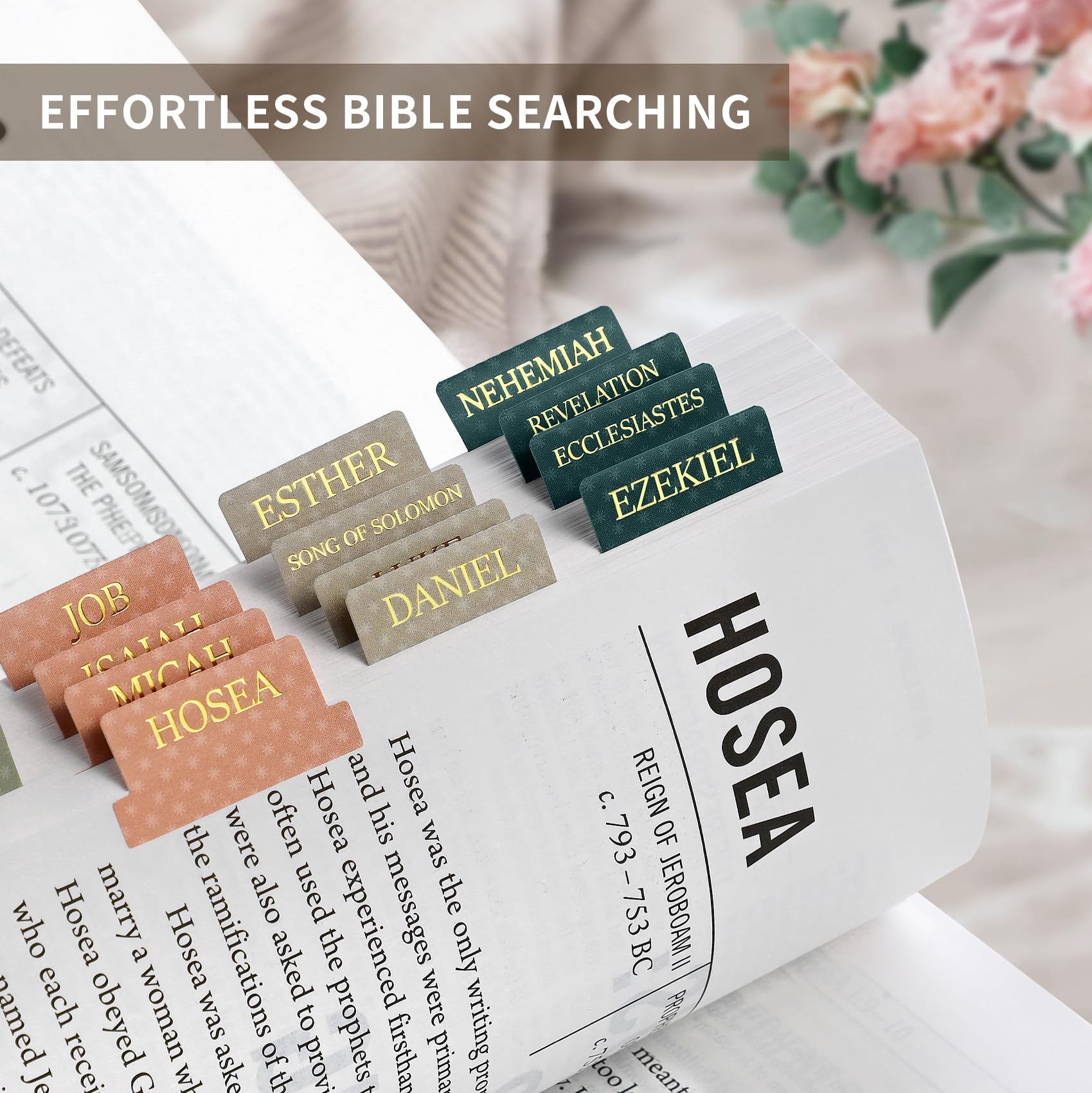 Snapklik.com : Bible Tabs For Women & Men, Laminated Bible Tabs For ...
