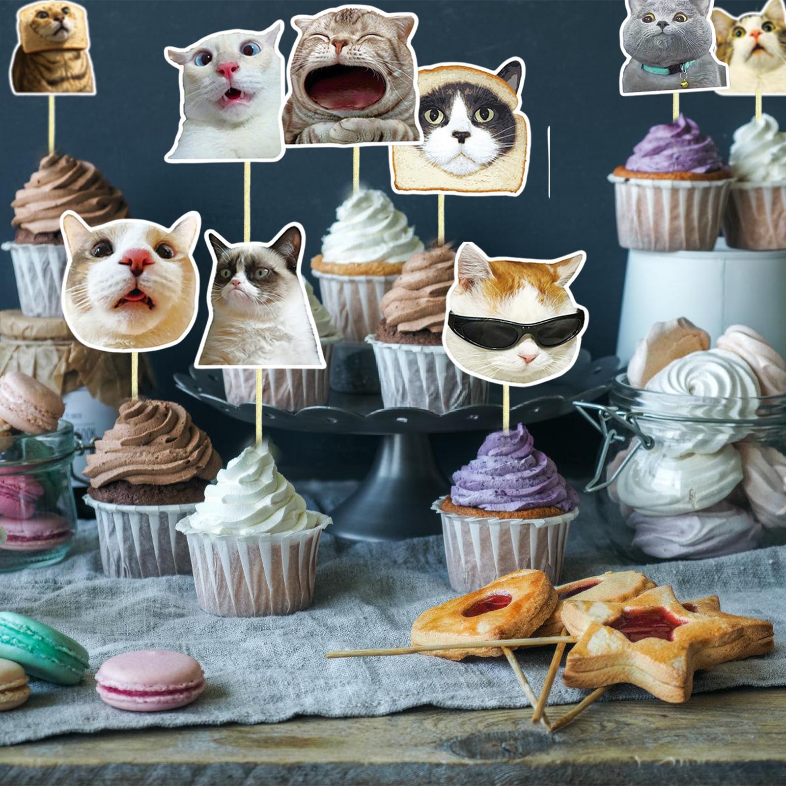 Katzen Geburtstagskuchen Meme Lustige Katze Feiert Geburtstag Mit