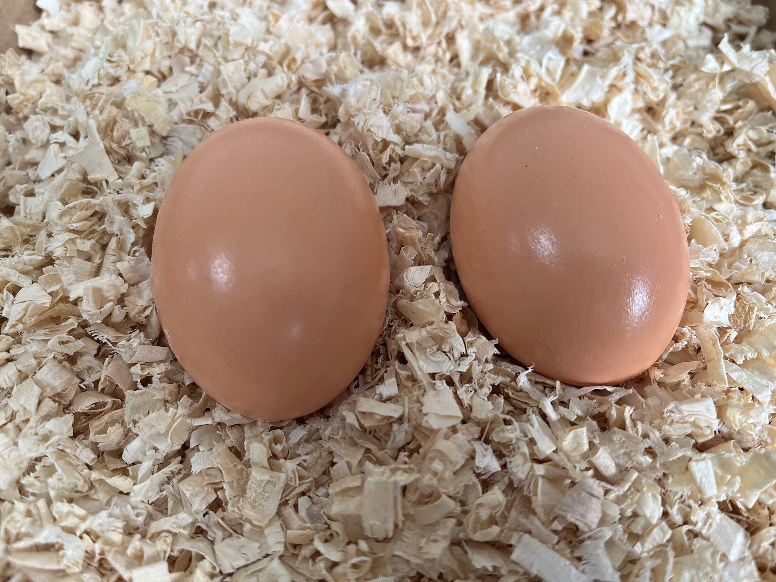 Snapklik.com : Fuzzy-Bird Chicken COOP Door Egg