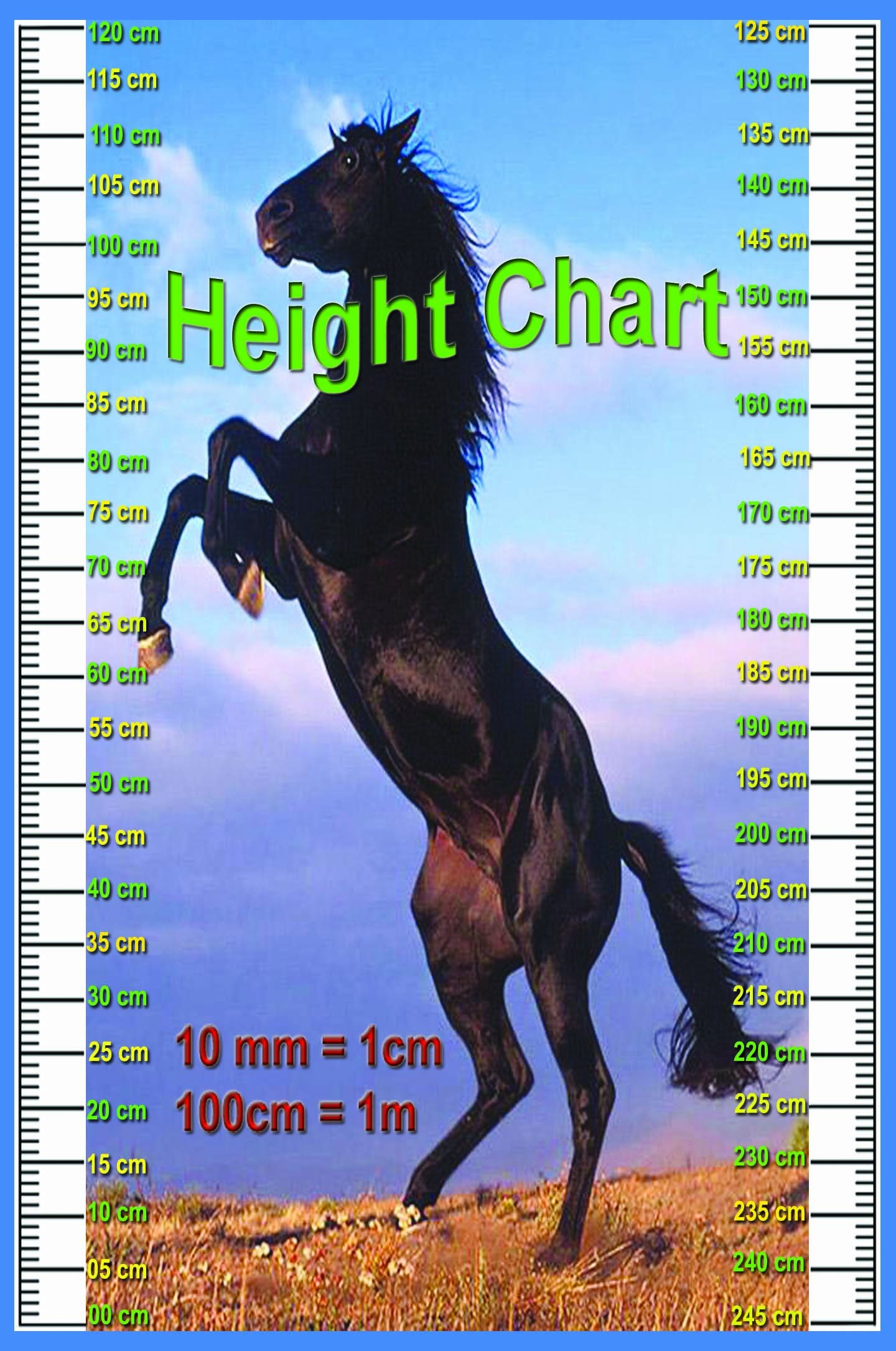 Buy LAMINATED HEIGHT CHART NEW EDUCATIONAL SCHOOLS TYPE KIDS | WALL ...