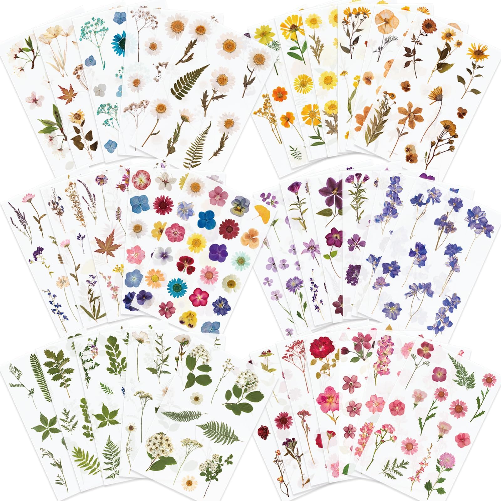 Amazon.com: Wildflower Stickers by Recollections™