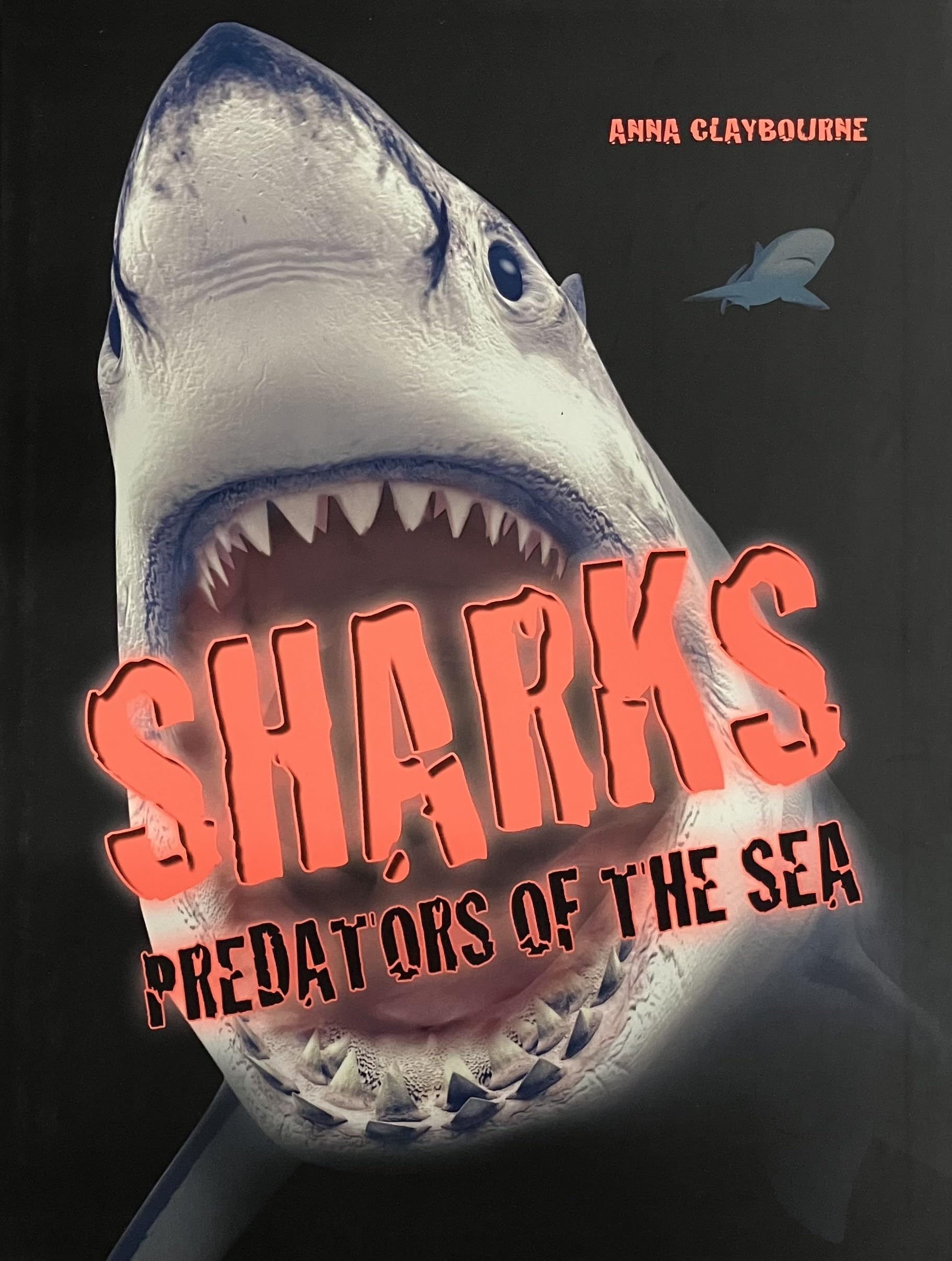 Sharks- Predators of the Sea: Alberto Luca Recchi: 9781682970621 ...