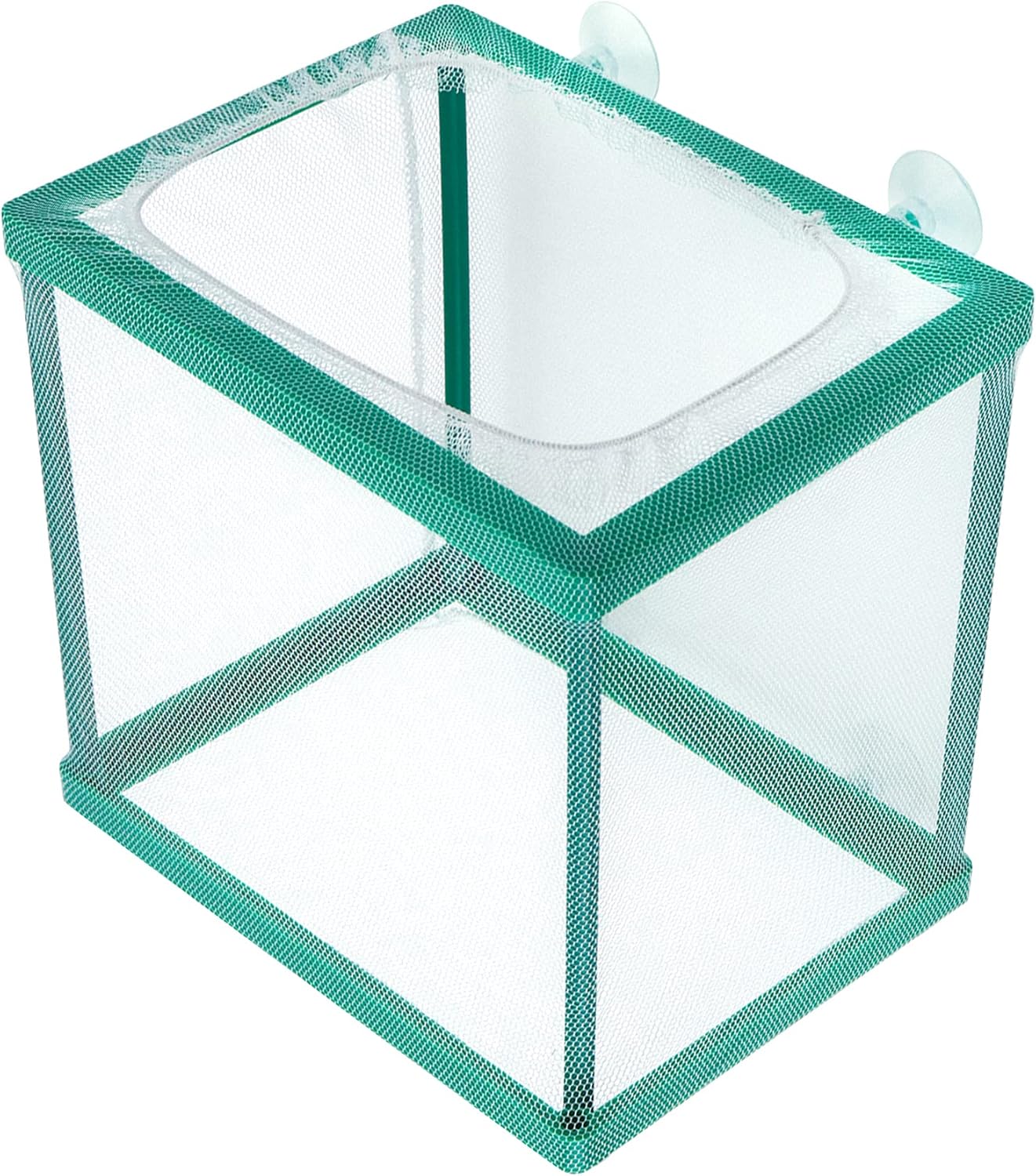 Amazon.com: Risbay 1 Pcs Aquarium Fish Breeder Box,Fish Isolation Box ...