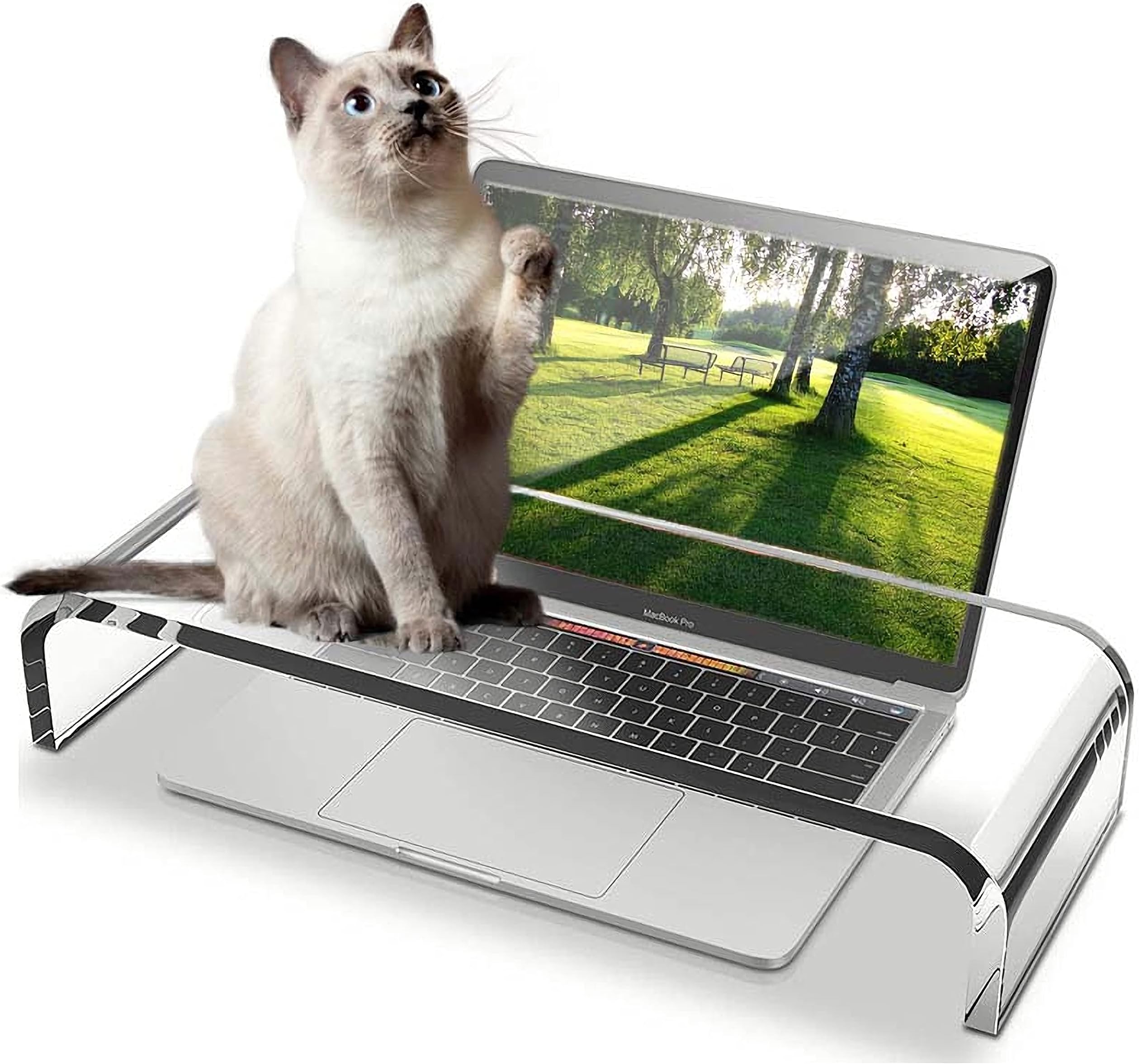 Amazon.com: ZEAYIFA Clear Acrylic Monitor Stand,Keyboard Cover ...