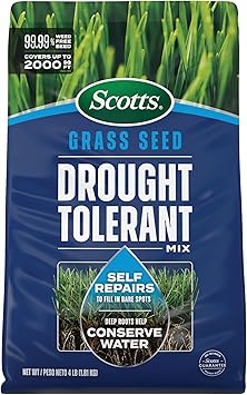 Amazon.com : Scotts Grass Seed Drought Tolerant Mix, Kentucky Bluegrass ...