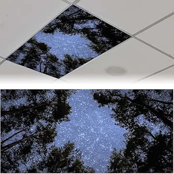 Sunnyhut 2 Pack Fluorescent Light Cover for Ceiling Light -Starry Night ...