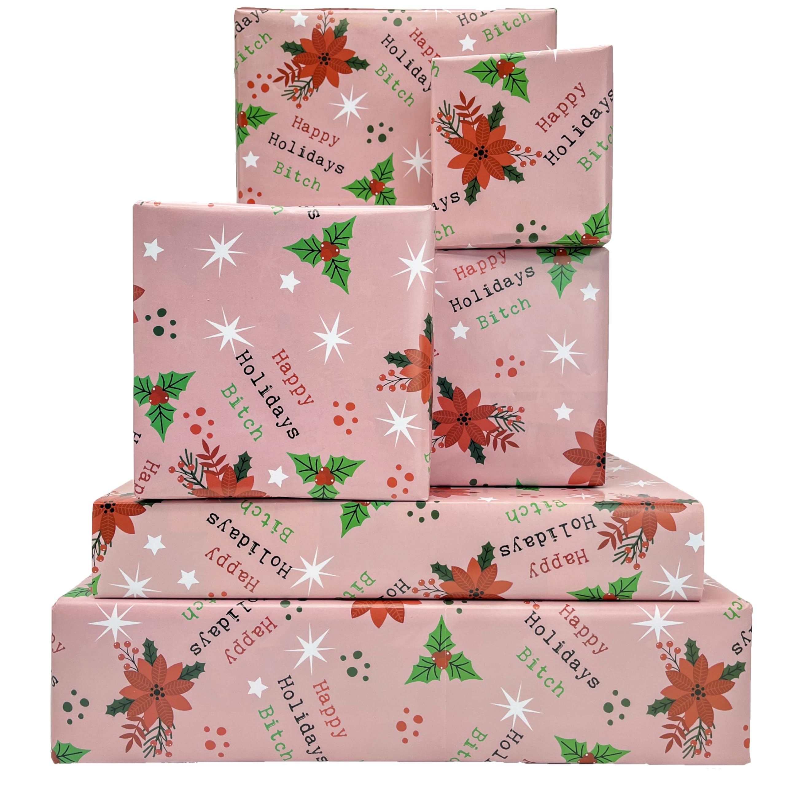 Amazon.com: Vnaaem Funny Wrapping Paper Rude Xmas - Happy Holiday Bixxh ...