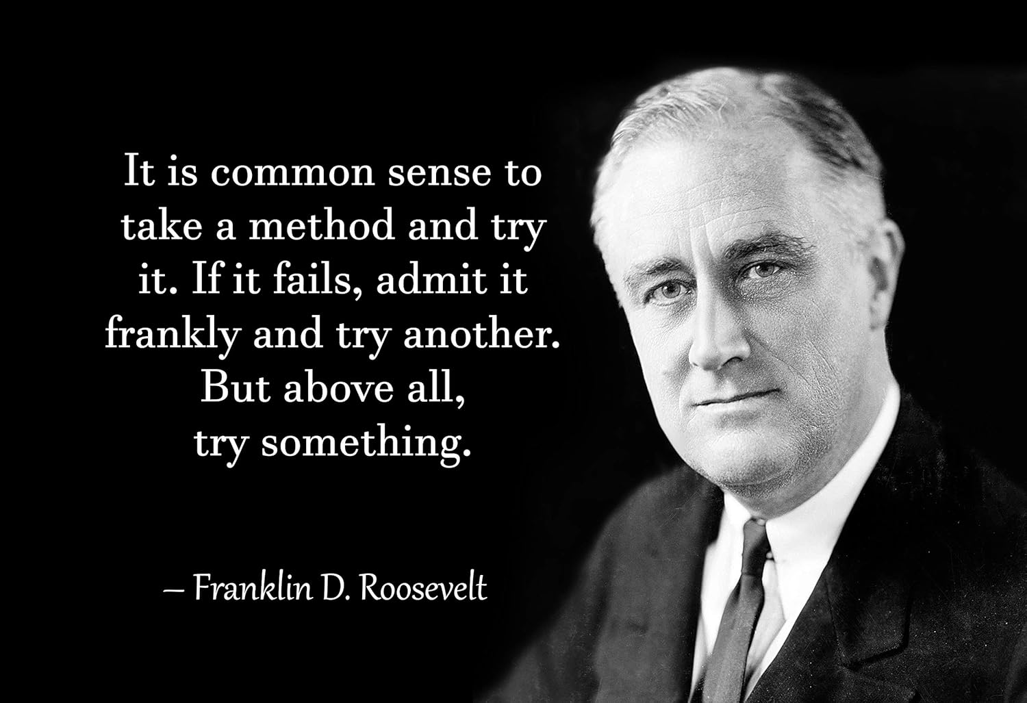 Amazon.com: Franklin D. Roosevelt Inspirational Quote: It Is Common ...