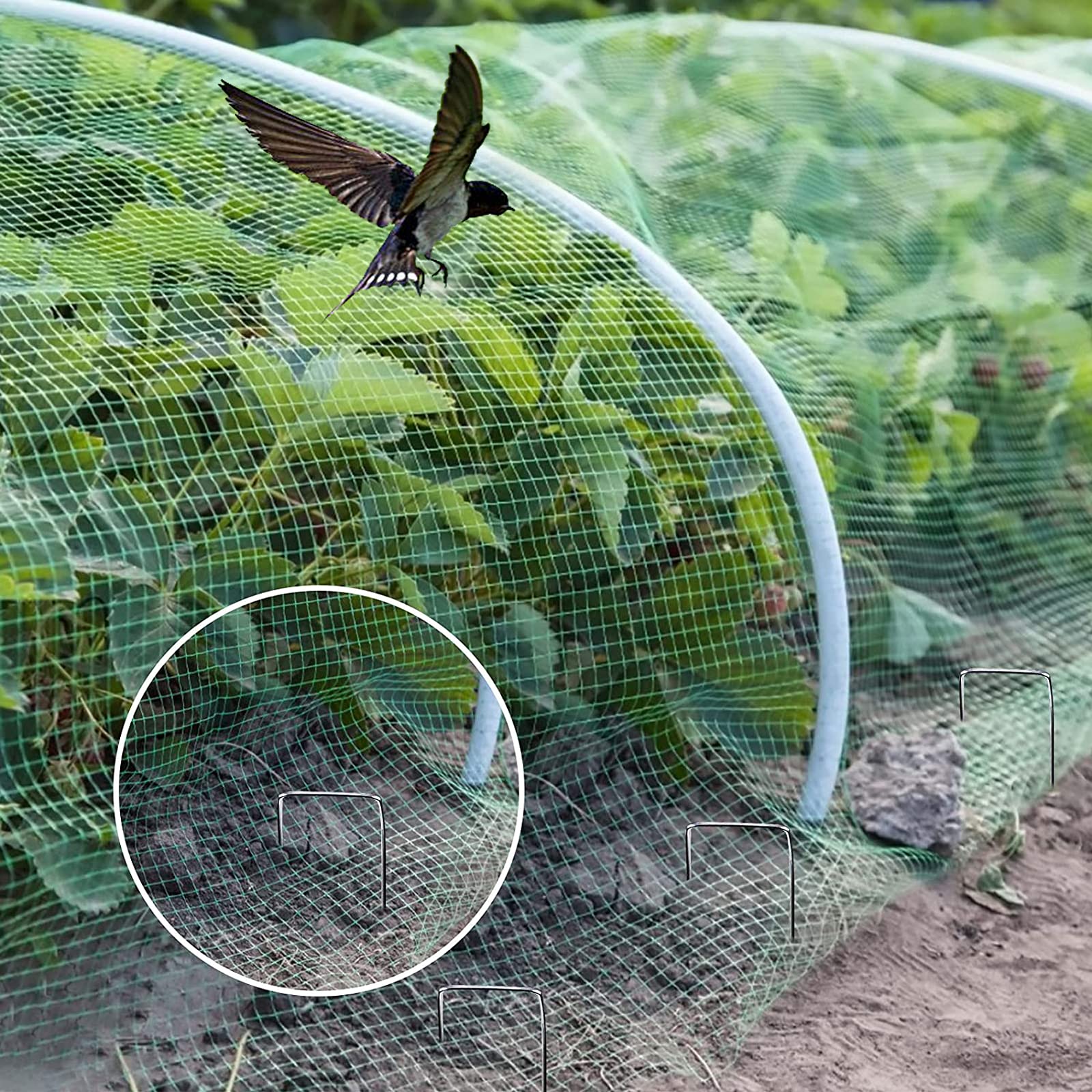 Cover Grass Seed Netting Garden Netting For Plants Fruit Veg Patch