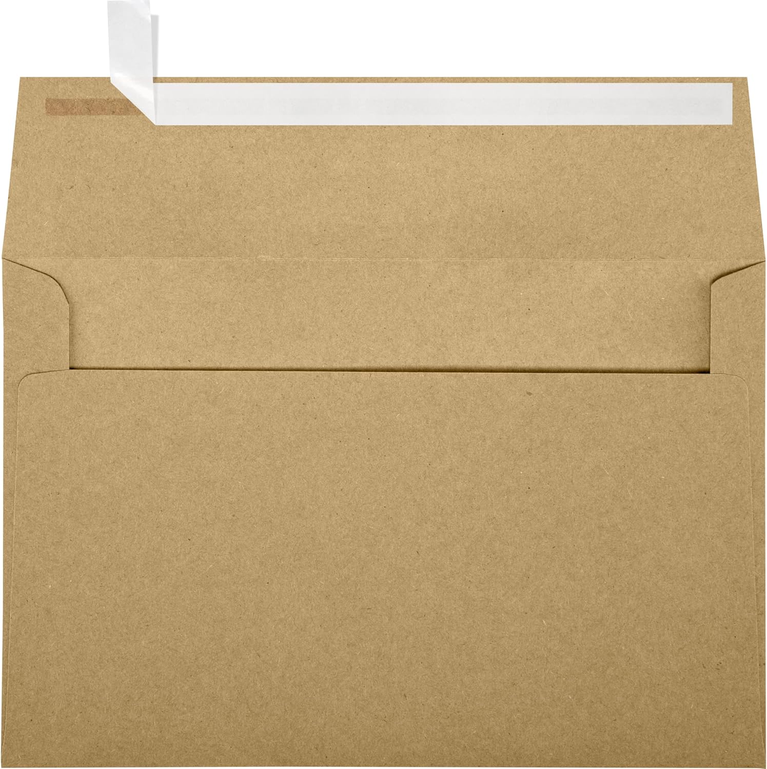 Amazon LUXPaper A9 Invitation Envelopes In 70 Lb Grocery Bag For amazon-luxpaper-a9-invitation-envelopes-in-70-lb-grocery-bag-for