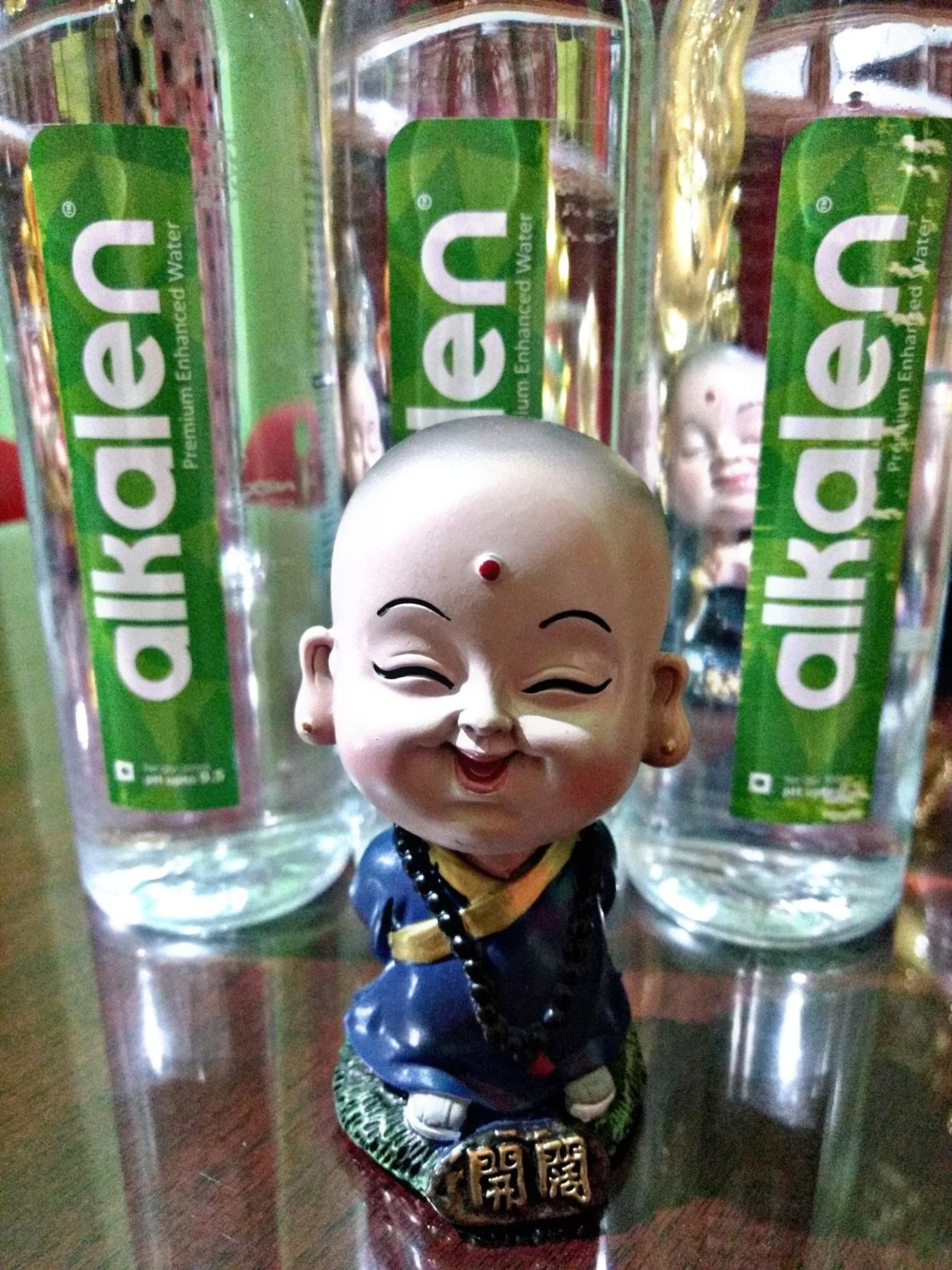 Alkalen Water-Based Electrolyte Drink pH 8.5 to 9.5 500ml (Pack of 24 ...