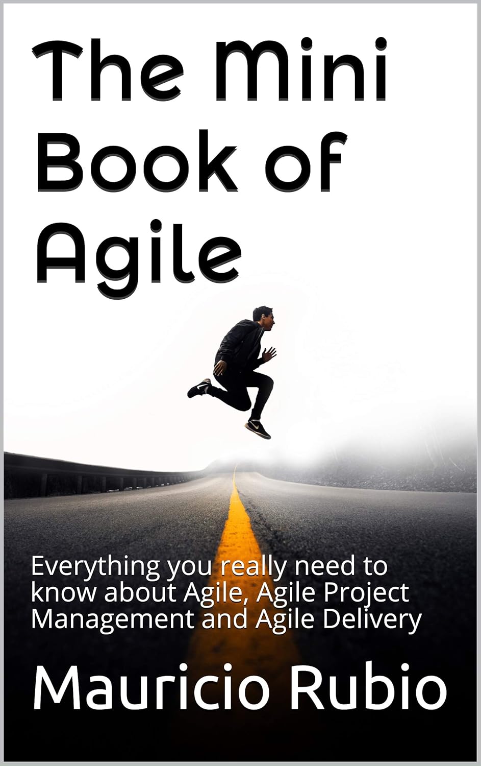 Amazon.com: The Mini Book of Agile: Everything you really need to know ...