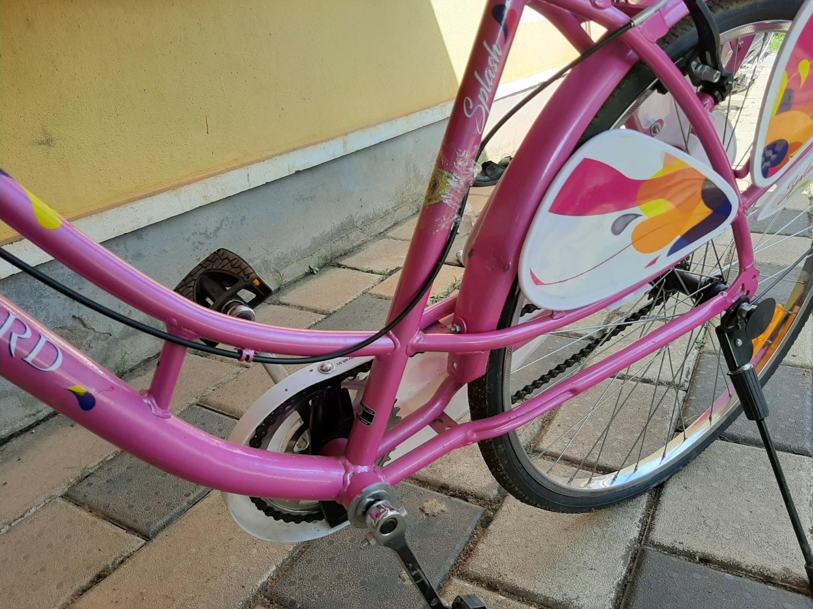 Buy BSA Ladybird Splash Thin Tyre, 26 In Wheel Size, Steel Frame 19 In ...