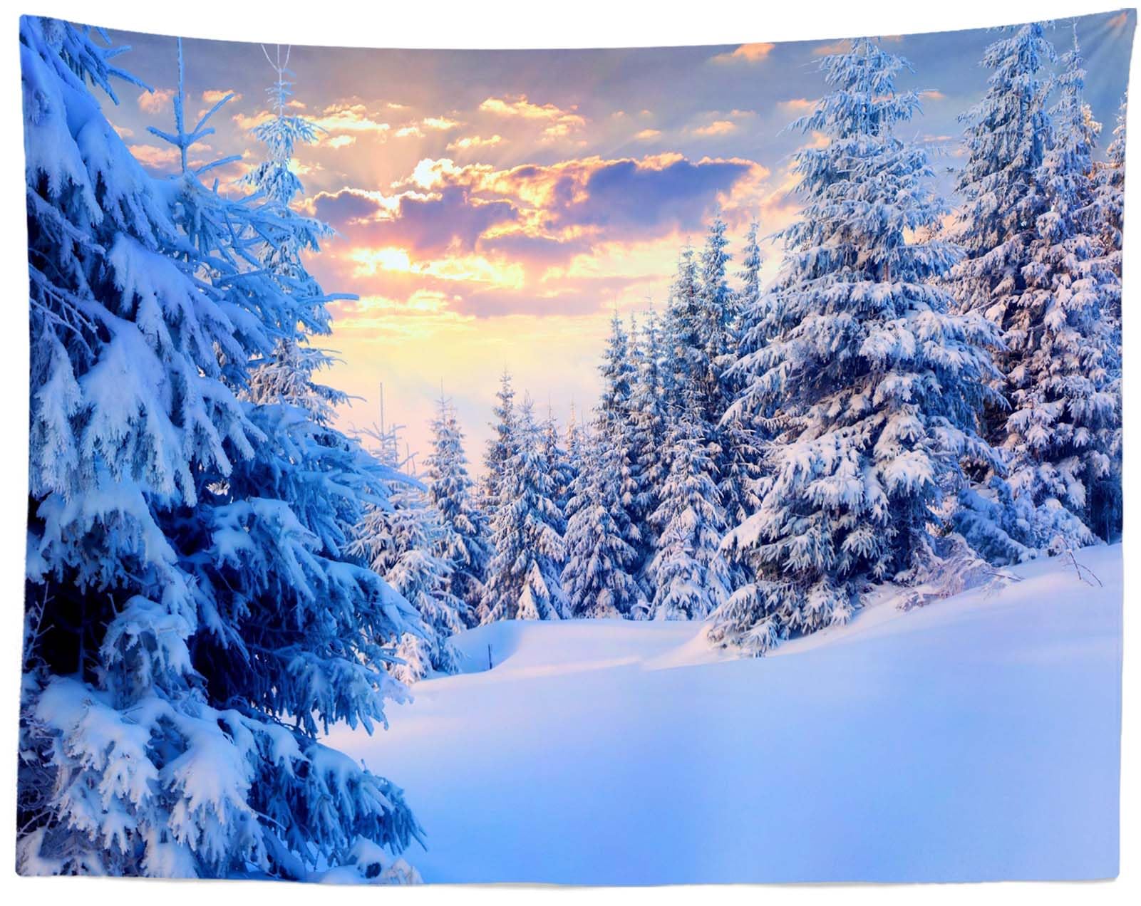 Winter Snow Landscape Scenery