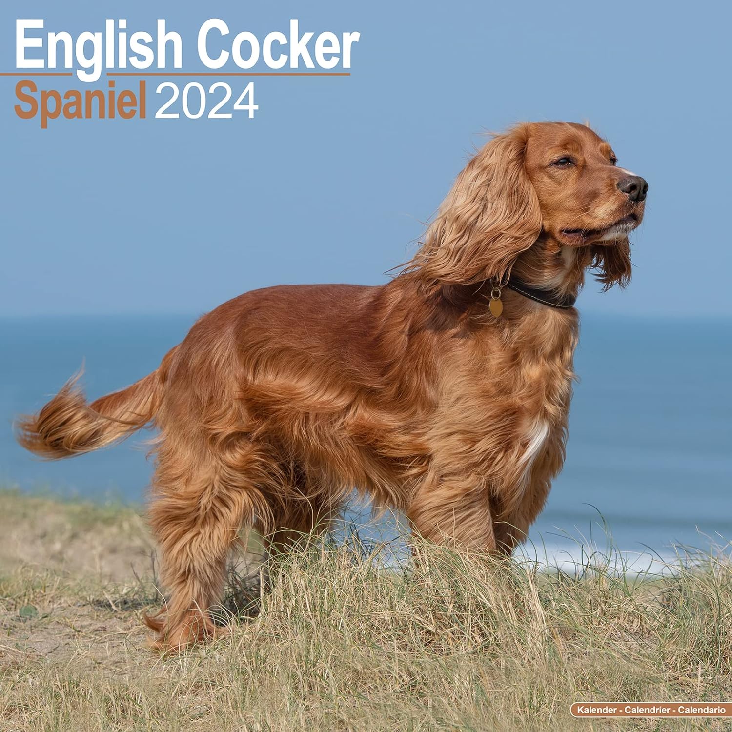 Cocker Spaniel Calendar - English Cocker Spaniel - Dog Breed Calendars ...