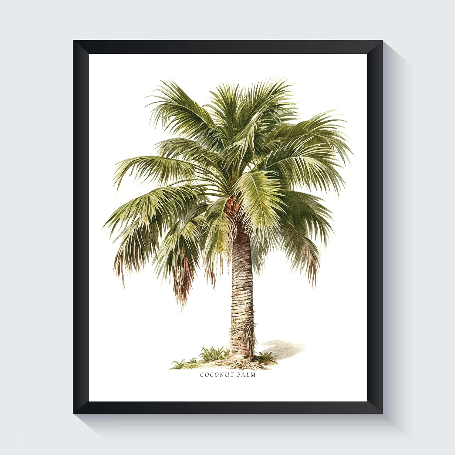 Amazon.com: Coconut Palm Tree Poster Wall Decor Art Painting, Tree ...