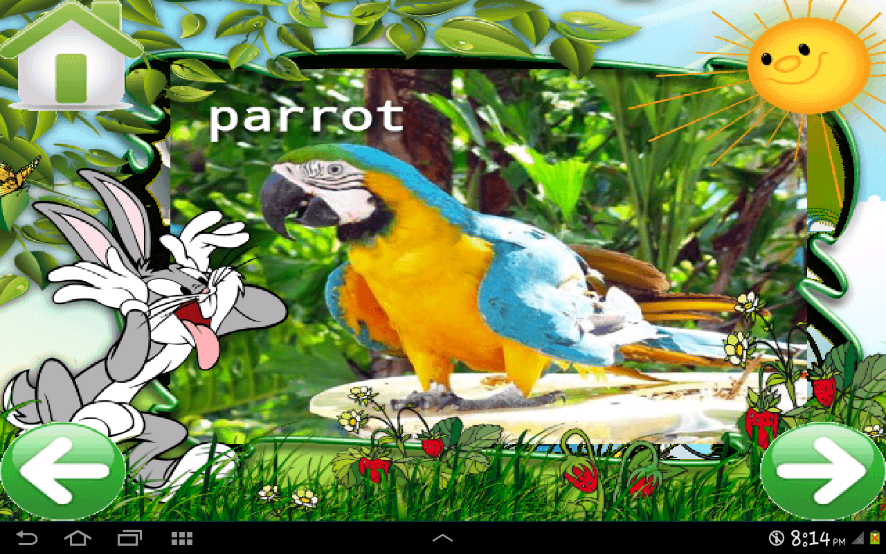 Kids Zoo Animals Sounds - App on Amazon Appstore
