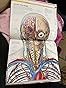 Knowledge Encyclopedia Human Body! (DK Knowledge Encyclopedias): DK ...