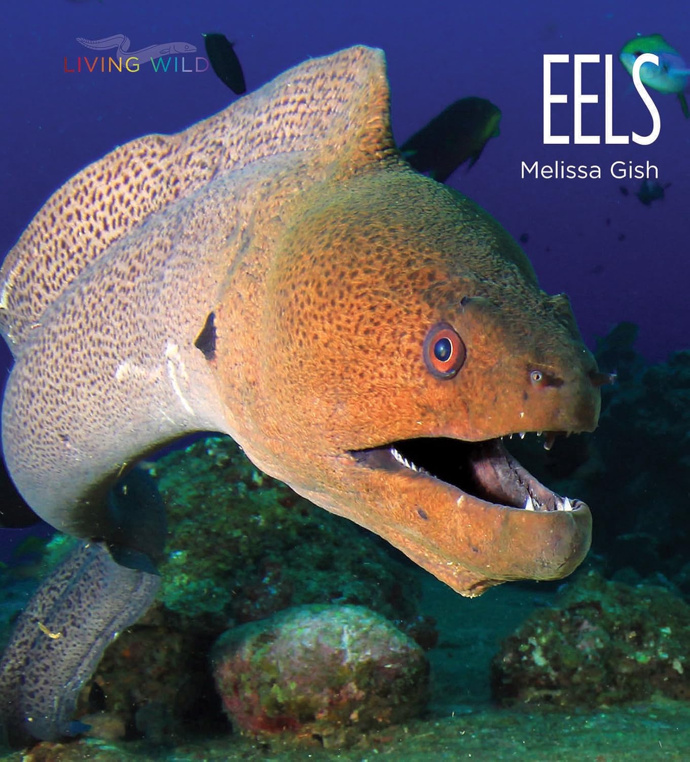 Eels (Living Wild): Gish, Melissa: 9781628325621: Amazon.com: Books