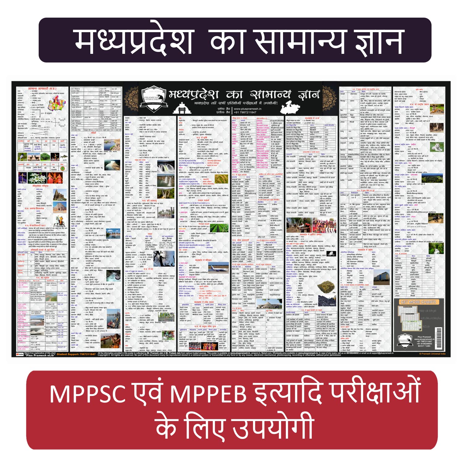 Buy [MP GK Wall Chart] Madhya Pradesh General Knowledge Wall Chart in ...