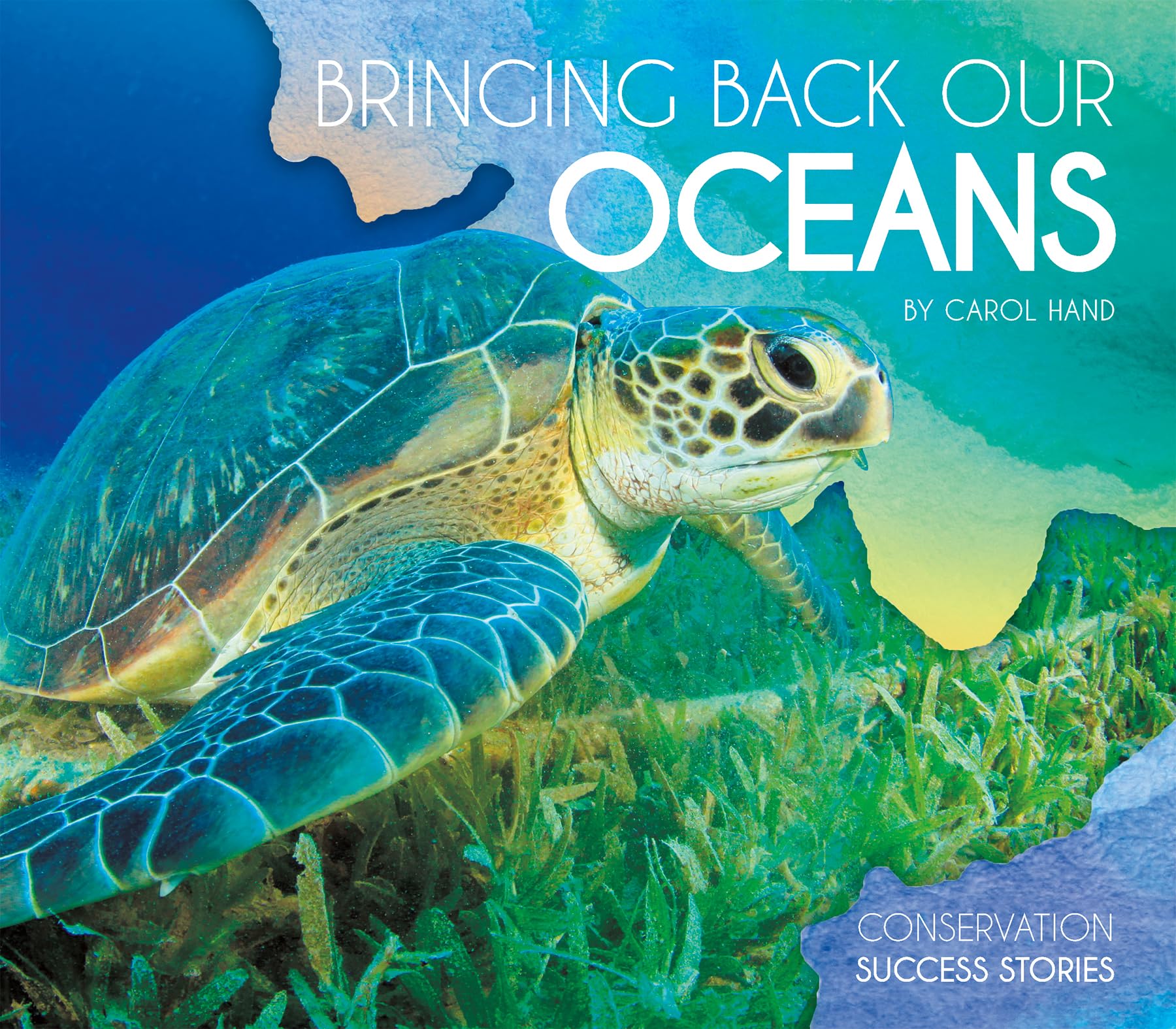 Amazon.com: Bringing Back Our Oceans (Conservation Success Stories ...